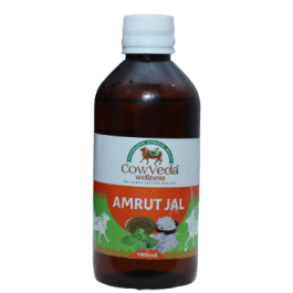 Amrut Jal (200ml)